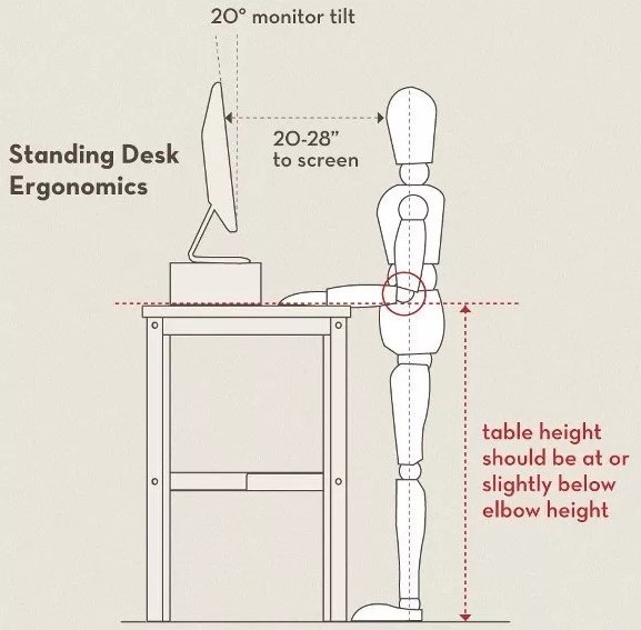 Workplace Wellness - Stand Correctly Stop Sitting